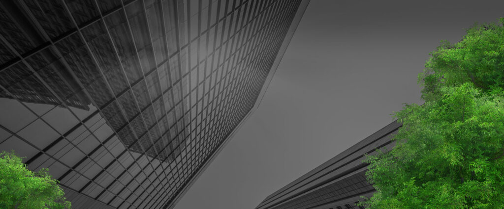 Who We Are | Taconic Capital