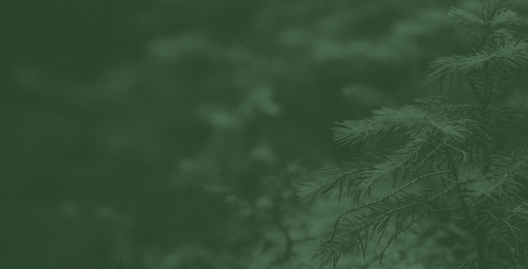 Who We Are | Taconic Capital